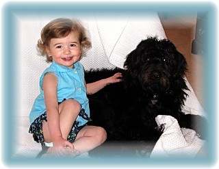 Southern Charm Labradoodles - American and Australian Labradoodle puppy ...